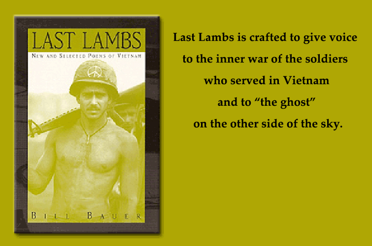 Published Works | Bill Bauer Poetry